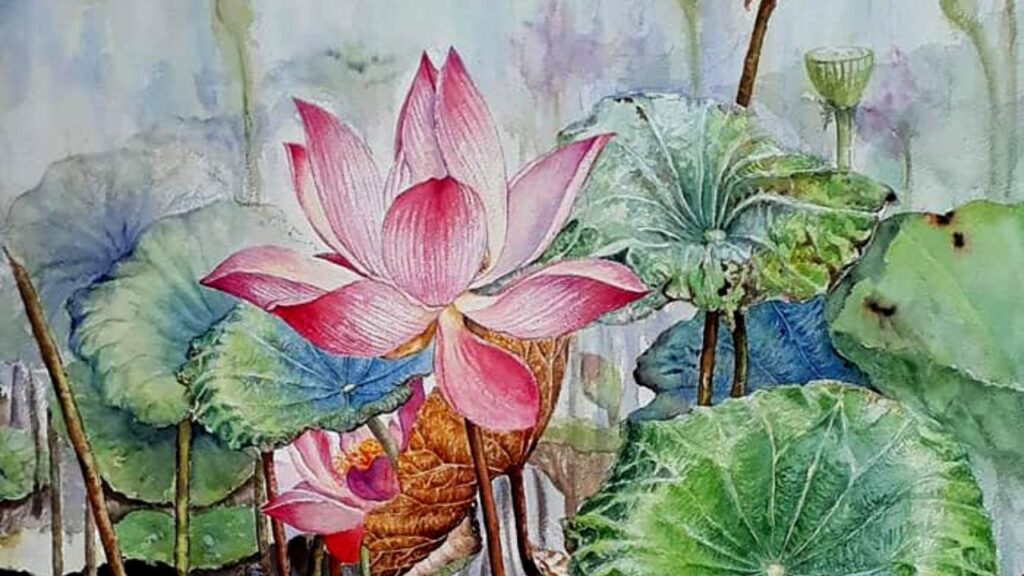 Combo Vẽ hoa sen Màu nước - Picassia