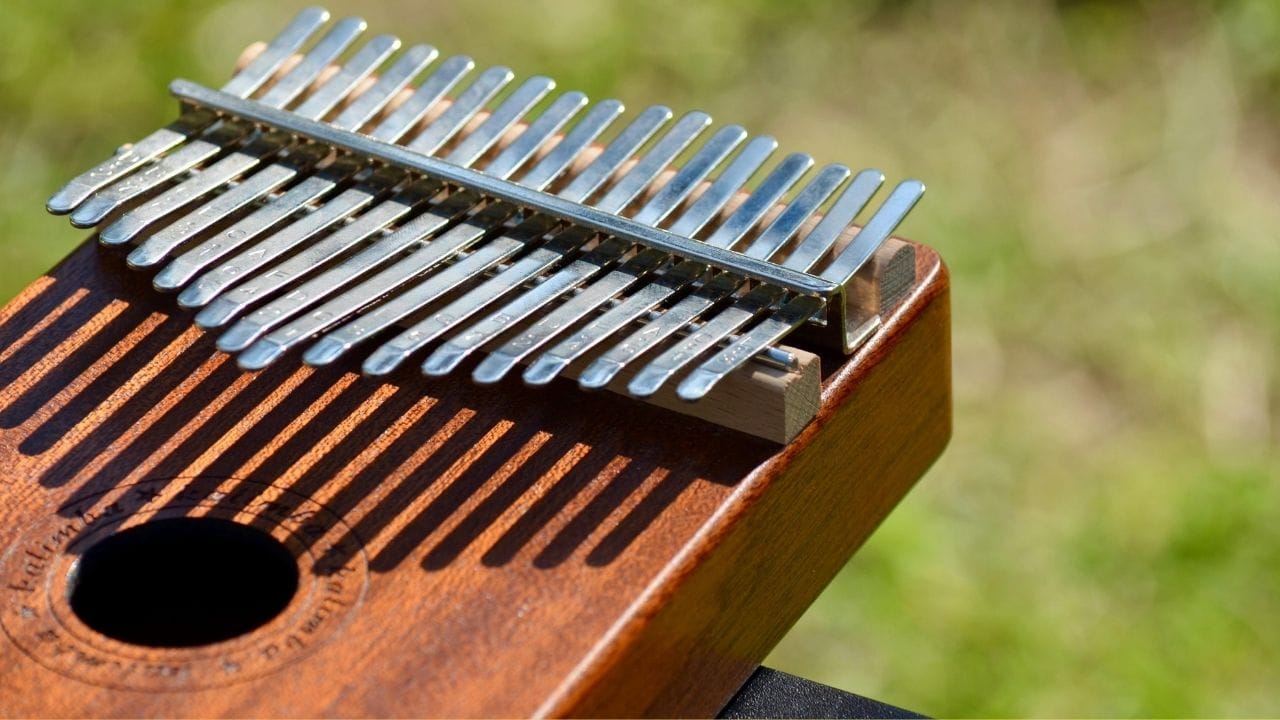 Thực hành đàn Kalimba Cơ bản - Picassia